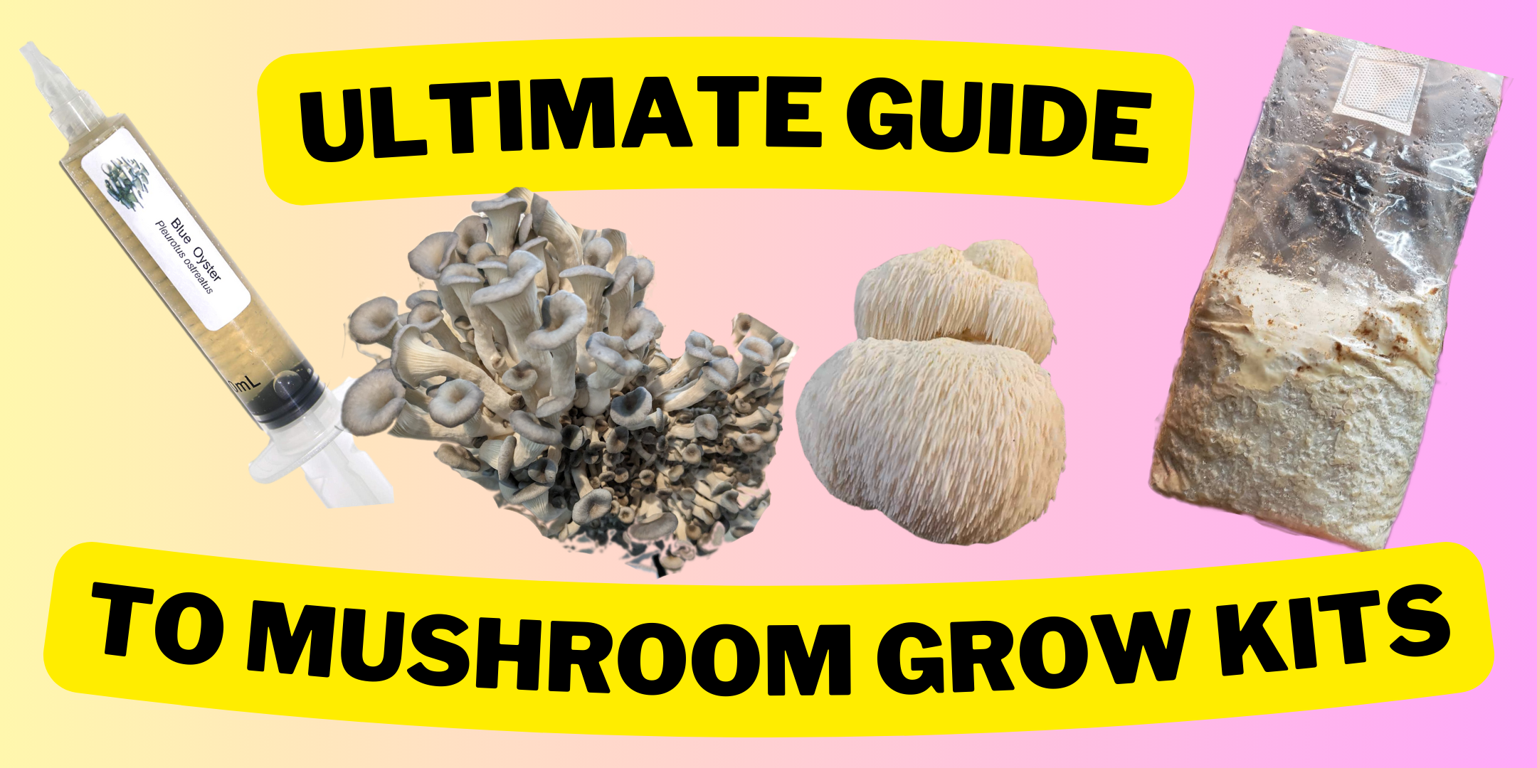 Ultimate Guide to Growing Mushrooms at Home: The Best Mushroom Grow ...